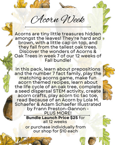 7. Acorn Week - 12 Weeks of Fall | FTL of Homeschooling