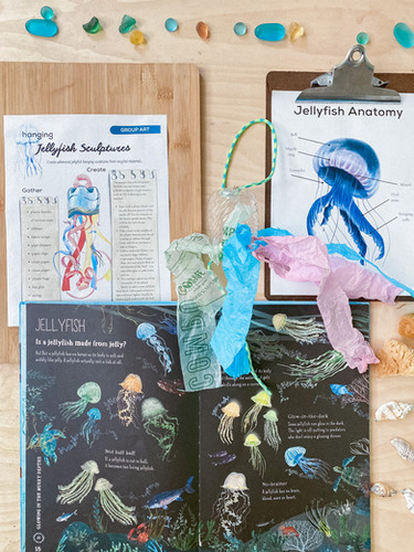 Jellyfish Mini Unit | FTL of Homeschooling