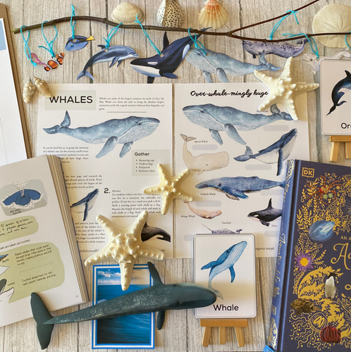 Whale & Dolphin Mini Bundle | FTL of Homeschooling
