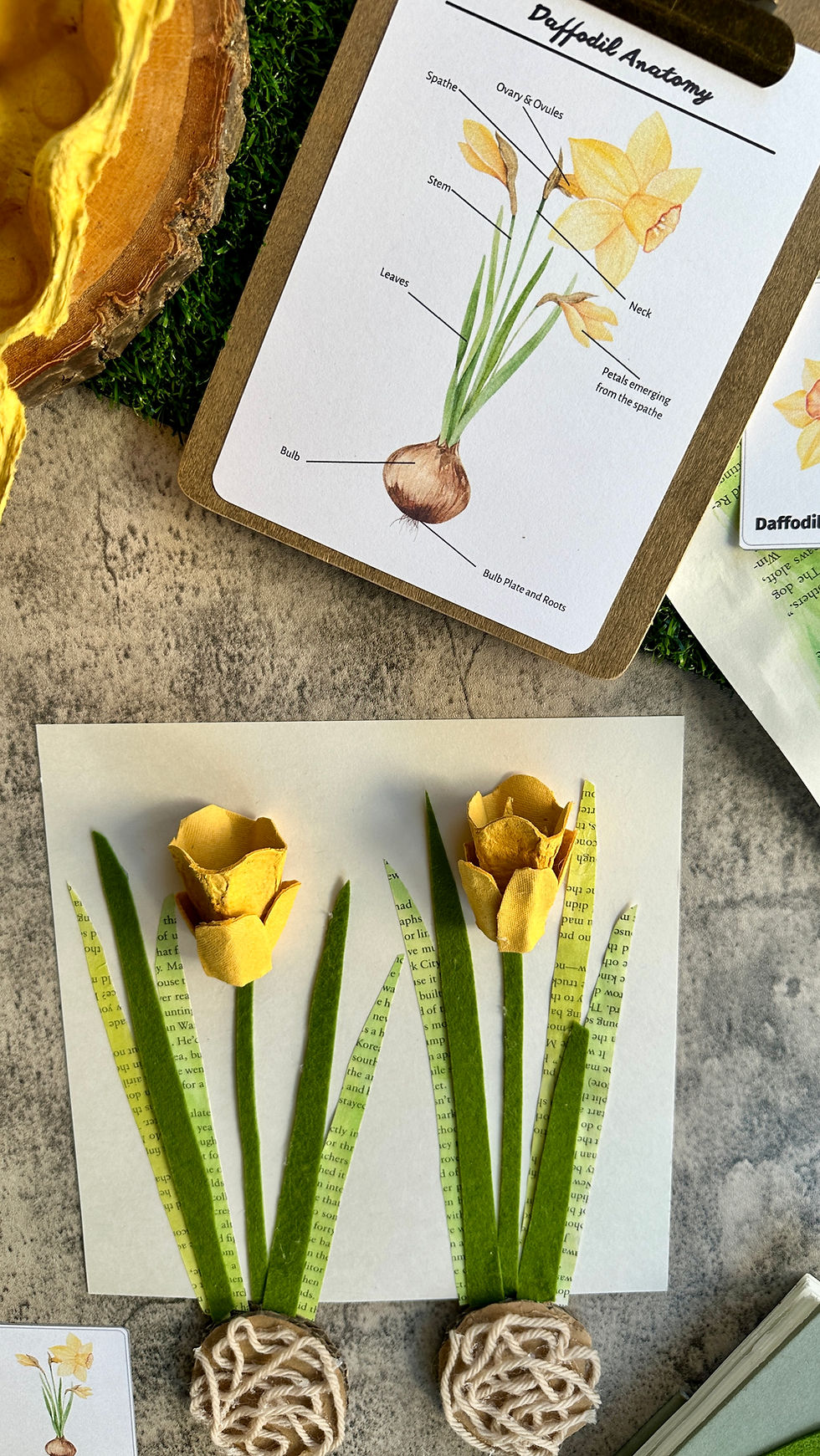 Sample Blossoms & Bulbs Unit - Daffodil | FTL of Homeschooling