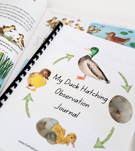 Duck Hatching Observation Journal | FTL of Homeschooling