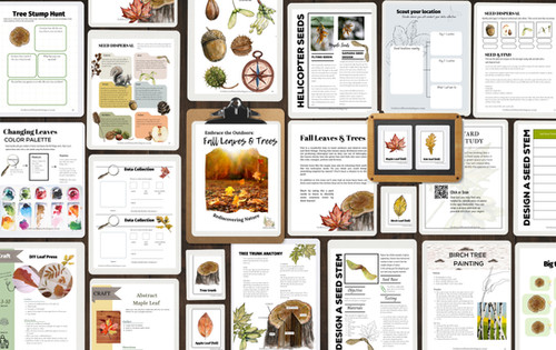 Embrace the Outdoors: Fall Leaves & Trees | FTL of Homeschooling