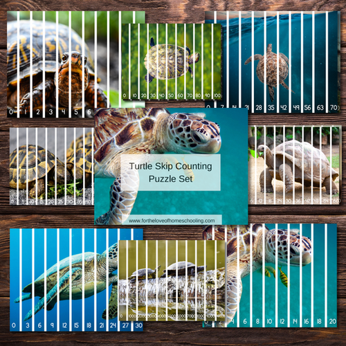 Turtle Skip Counting Puzzle | FTL of Homeschooling