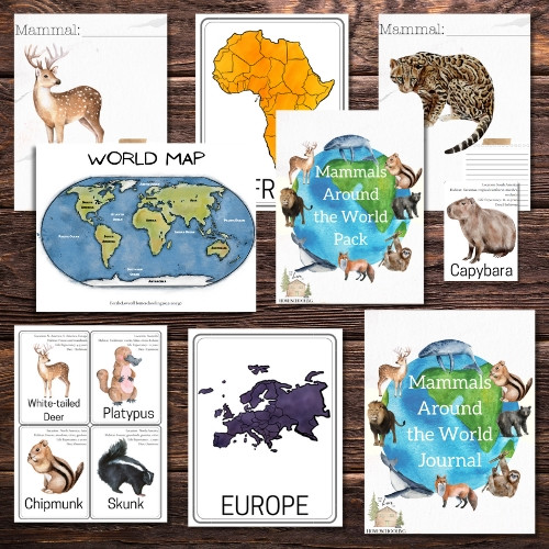 Mammals of the World Pack | FTL of Homeschooling