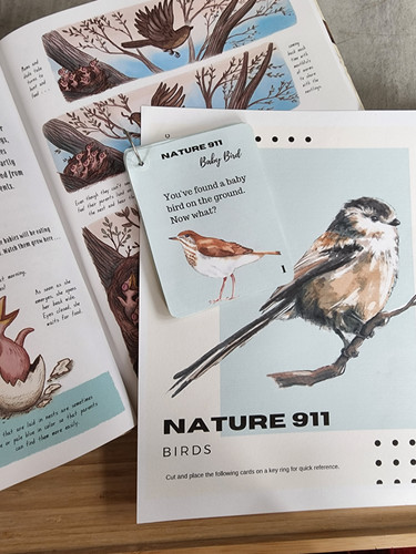 Nature 911: Birds | FTL of Homeschooling