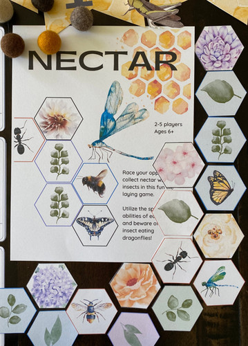 Insect Game Pack | FTL of Homeschooling