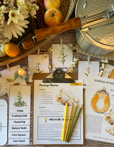 Corn Unit - Sample Pack from Harvest Unit! | FTL of Homeschooling