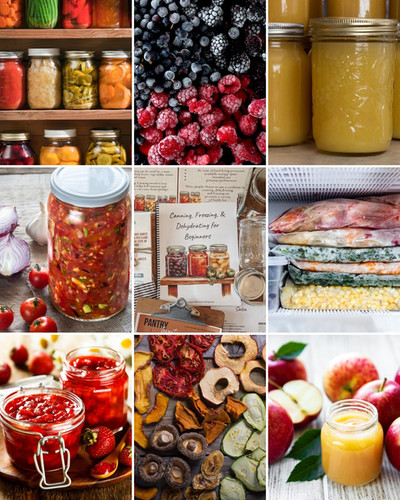 Food Preservation Canning, Freezing & Dehydrating for Beginners by ...