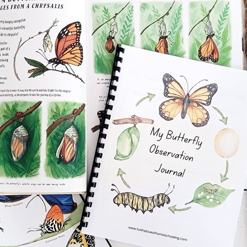 Butterfly Raising Observation Journal | FTL of Homeschooling