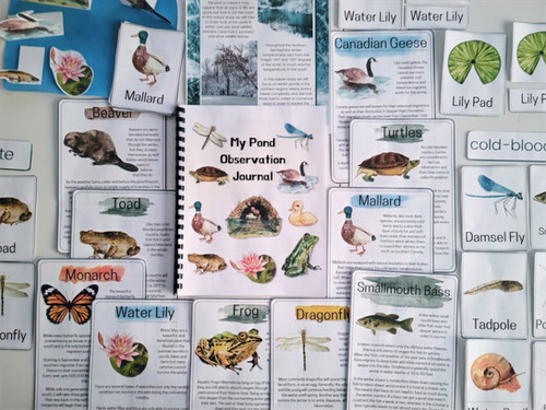 Winter Pond Nature Study | FTL of Homeschooling