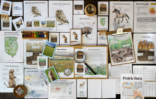 Prairie Biome in Nature Study | FTL of Homeschooling