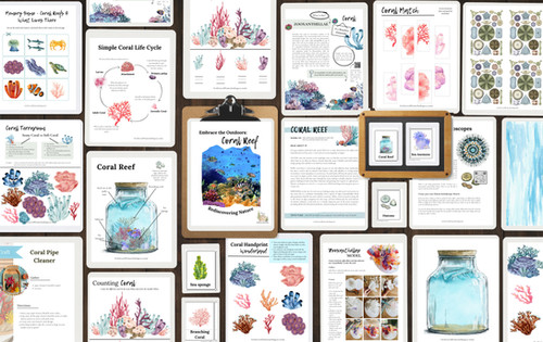 Embrace the Outdoors: Coral Reef | FTL of Homeschooling