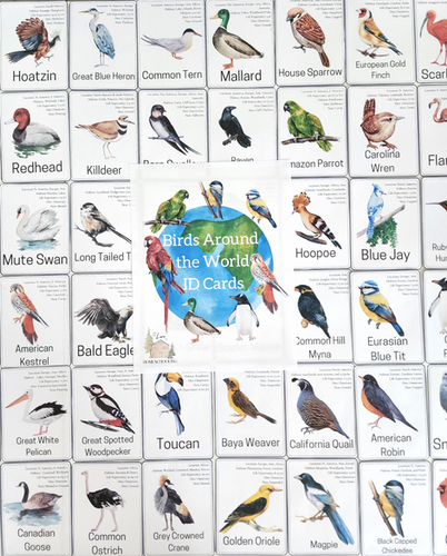 Birds of the World Identification Cards | FTL of Homeschooling