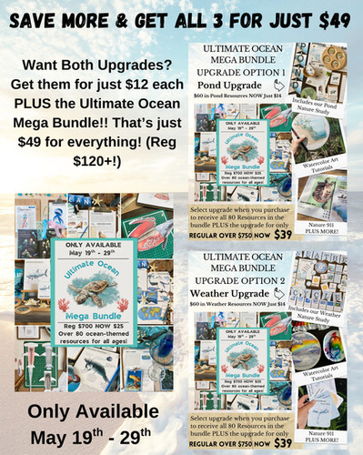 Dual Upgrade Ultimate Ocean Mega Bundle | FTL of Homeschooling