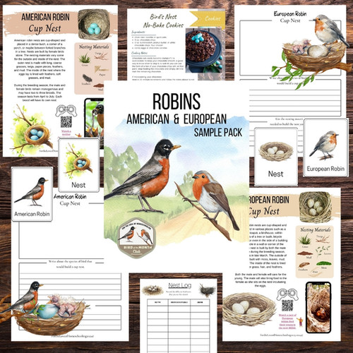 SAMPLE American & European Robin Nature Study | FTL of Homeschooling