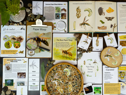Paper Wasp Nature Study | FTL of Homeschooling