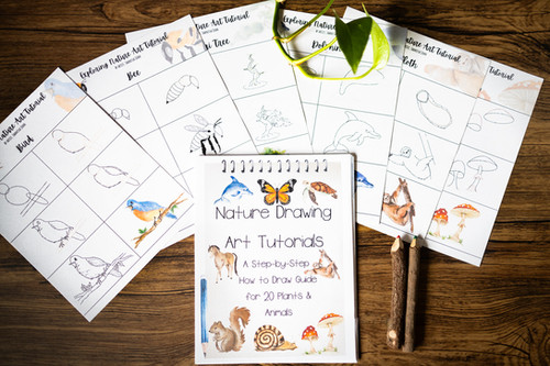 Nature Drawing Art Tutorial | FTL of Homeschooling