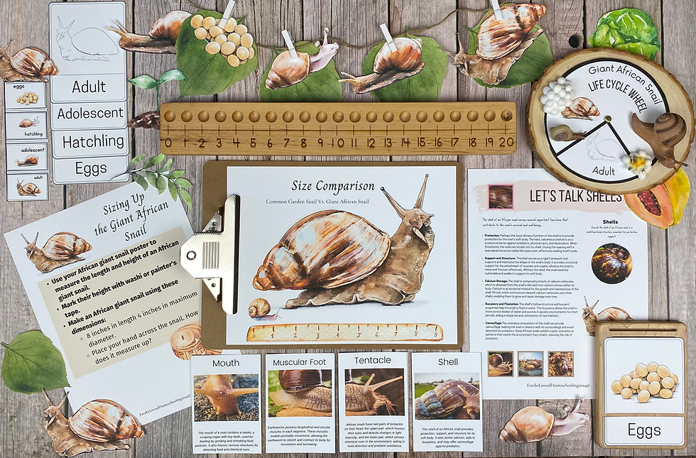 Giant African Snail Unit Study | FTL of Homeschooling