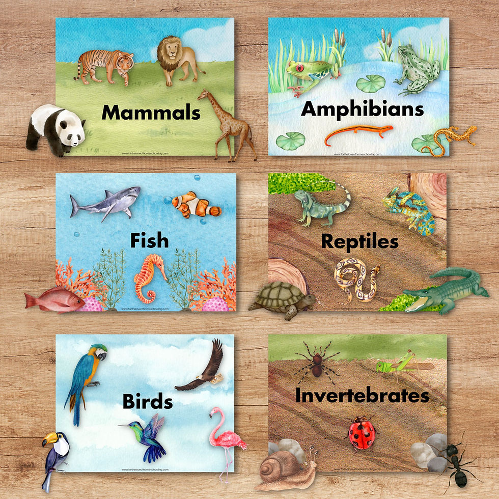 Animal Classification Sort | FTL of Homeschooling