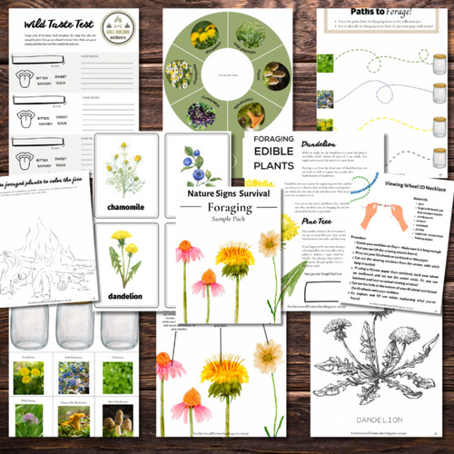 Foraging Mini Unit | FTL of Homeschooling