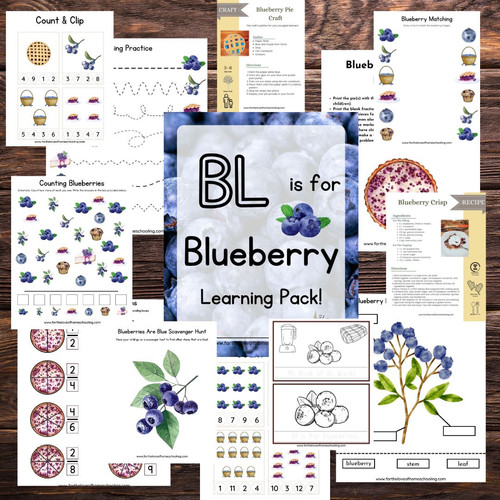 BL is for Blueberry | FTL of Homeschooling
