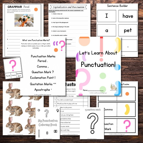 Let's Learn About Punctuation | FTL of Homeschooling