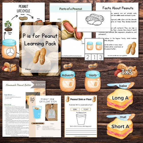 Peanut Learning Pack | FTL of Homeschooling