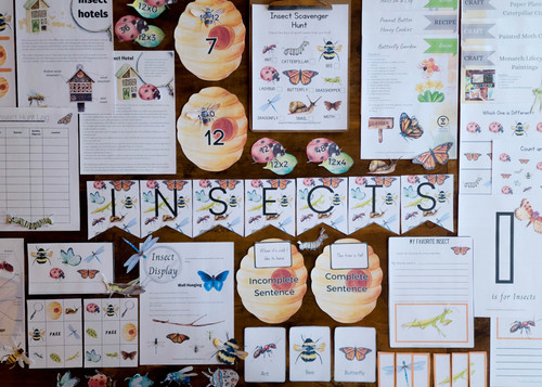 12. Insect Week - 12 Weeks of Spring | FTL of Homeschooling