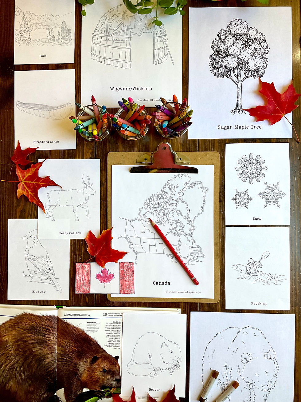Canada Freebie Coloring Pages | FTL of Homeschooling