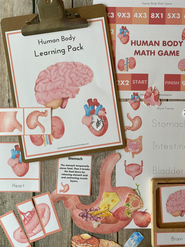 Human Body Early Learning Pack | FTL of Homeschooling