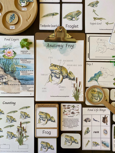 Pond Life Nature Study Unit | FTL of Homeschooling