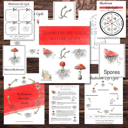 Mushroom Life Cycle Nature Study | FTL of Homeschooling