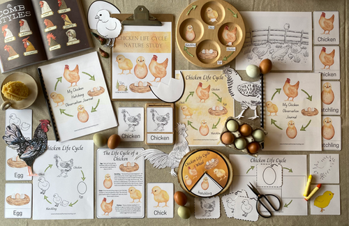Chicken Mini Bundle | FTL of Homeschooling