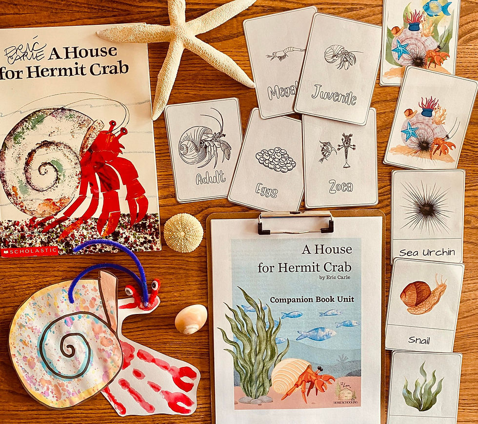 A House for Hermit Crab Book Unit | FTL of Homeschooling