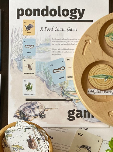 Pond Life Game Pack | FTL of Homeschooling