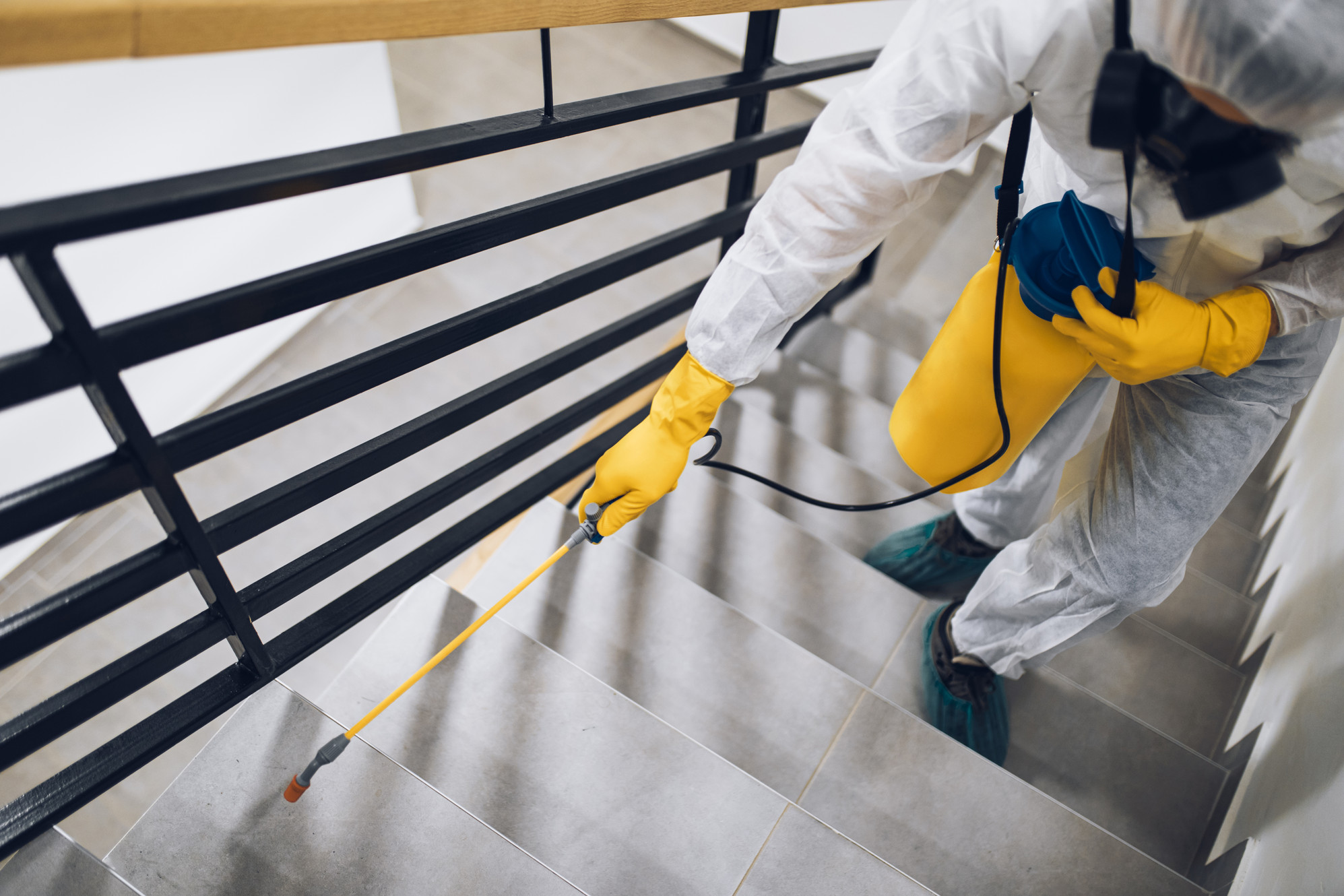 SERVICIOS | RR Exterminating│Puerto Rico