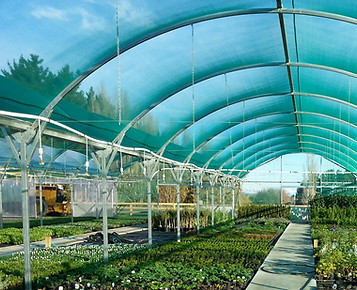 Shade Houses | Taylor Built by Redpath | Palmerston North