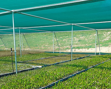 Shade Houses | Taylor Built by Redpath | Palmerston North