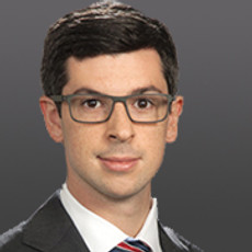 Fabricant LLP | Our Team | IP Attorneys