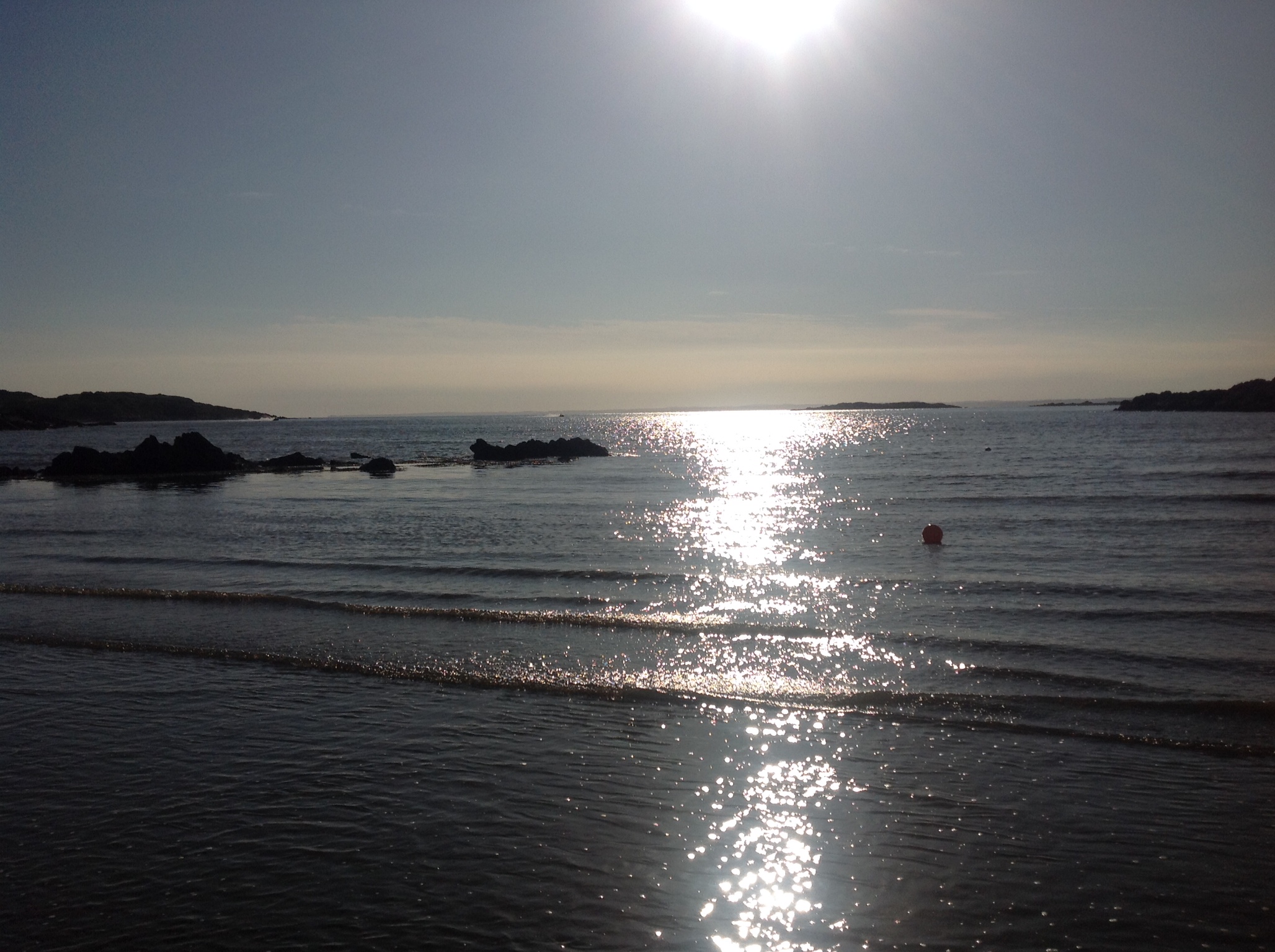 Thelma's Mooring Carrick Shore