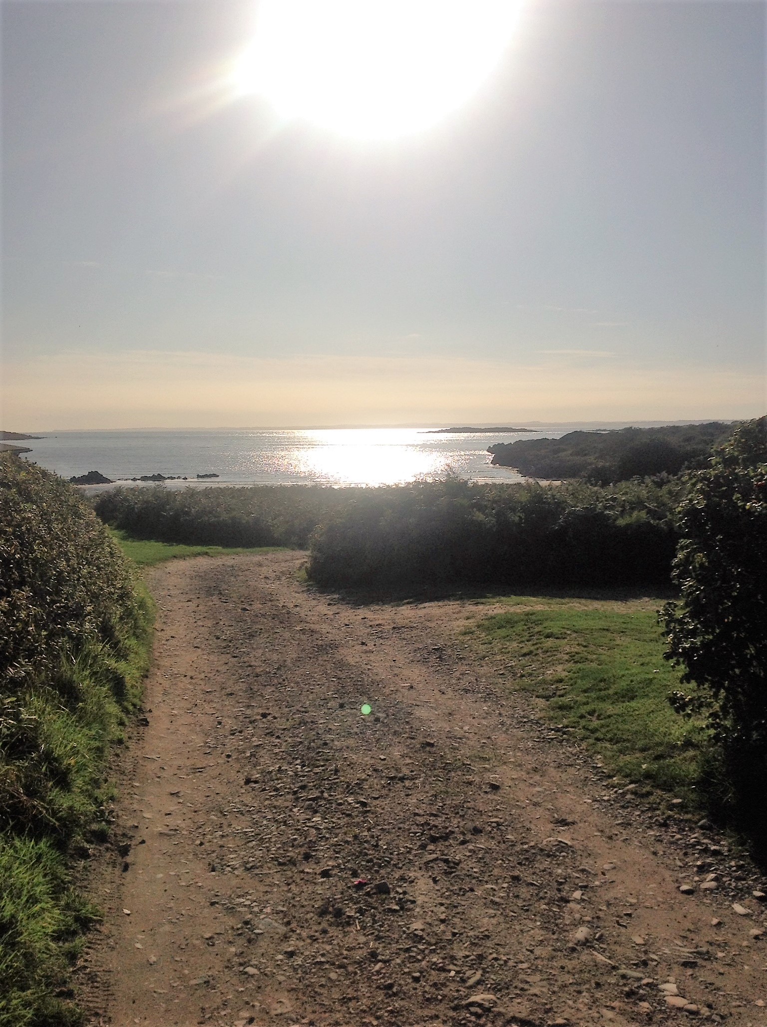 Thelma's Mooring Carrick Shore