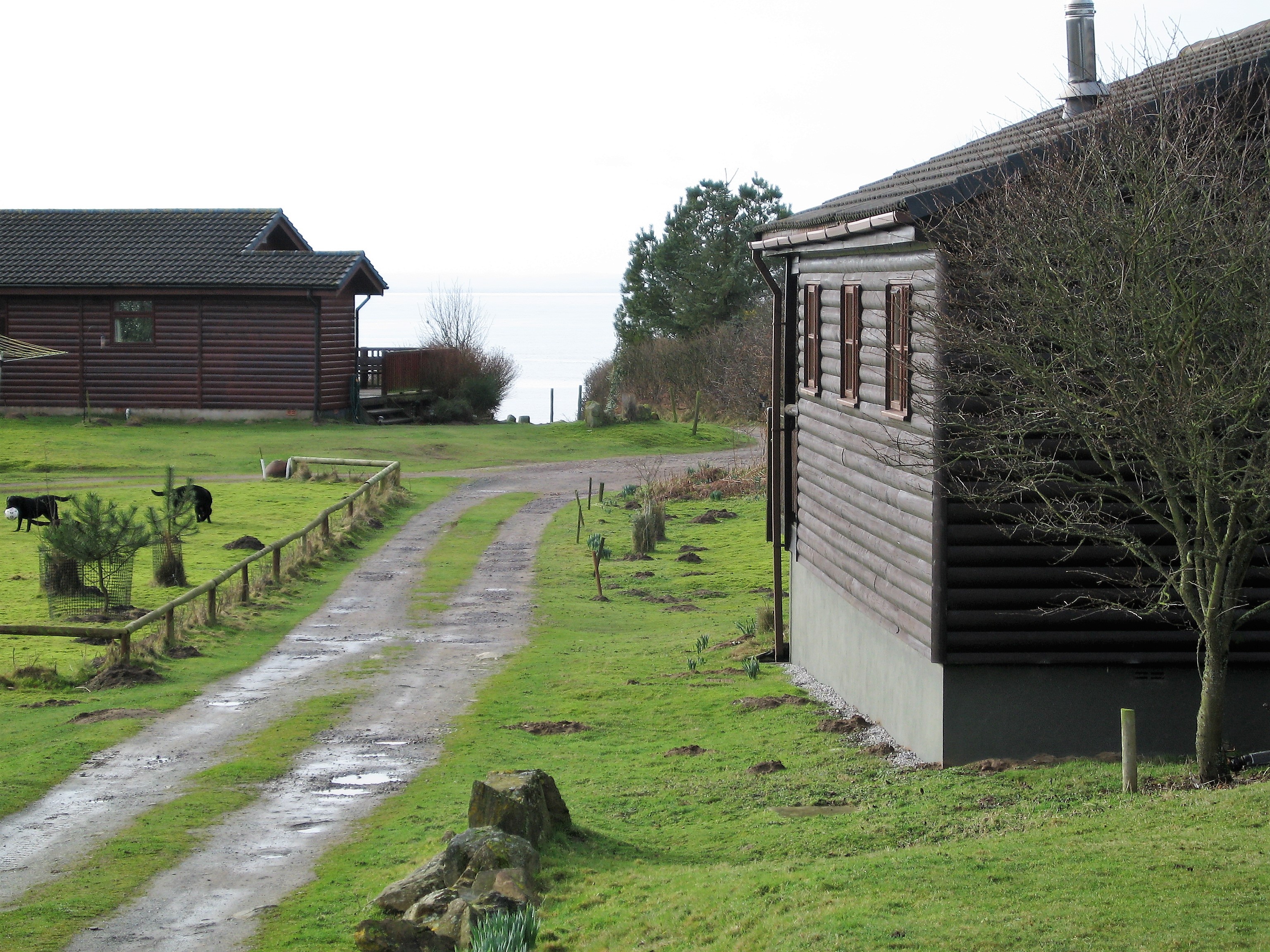 Thelma's Mooring Carrick Shore