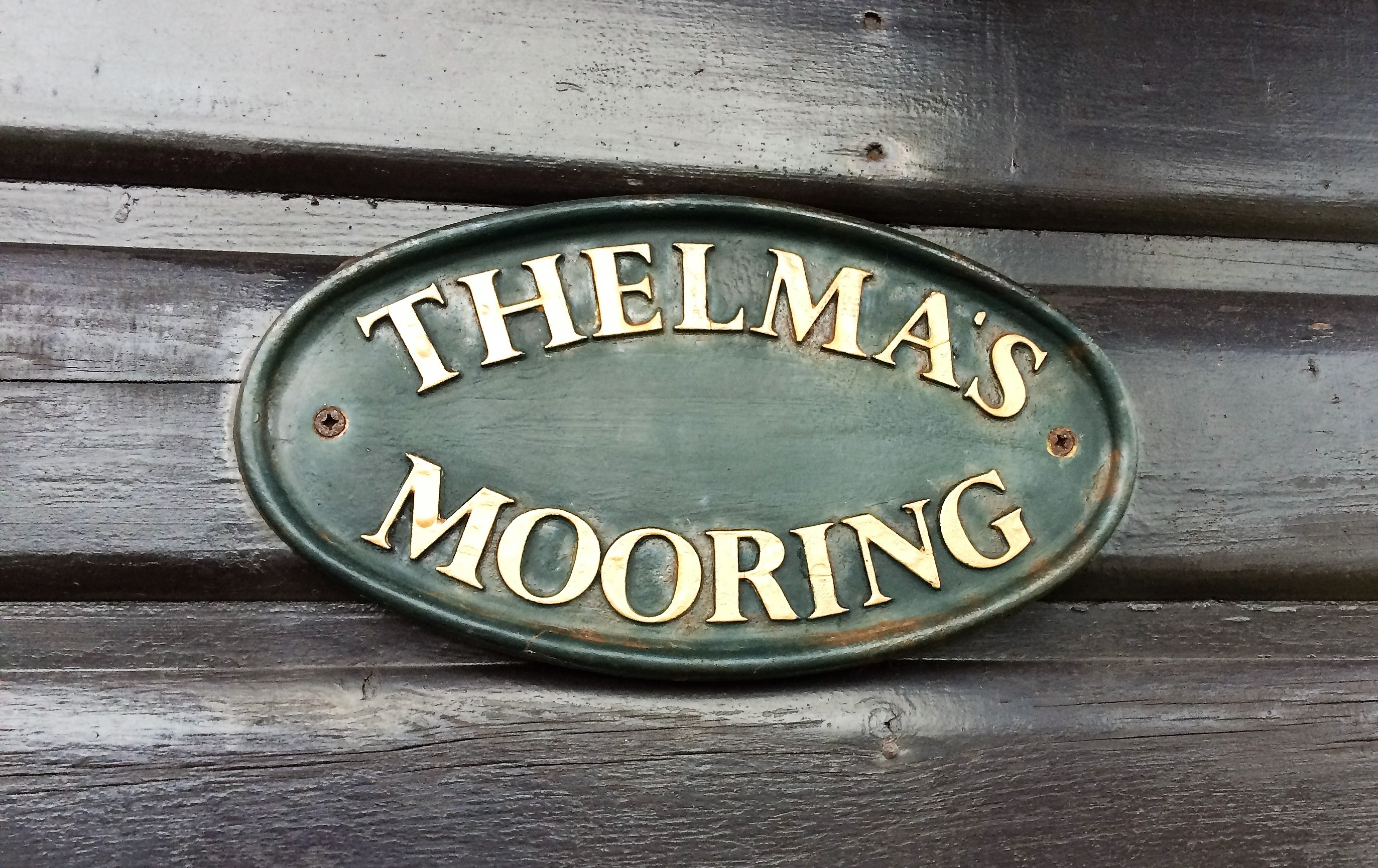 Thelma's Mooring Carrick Shore