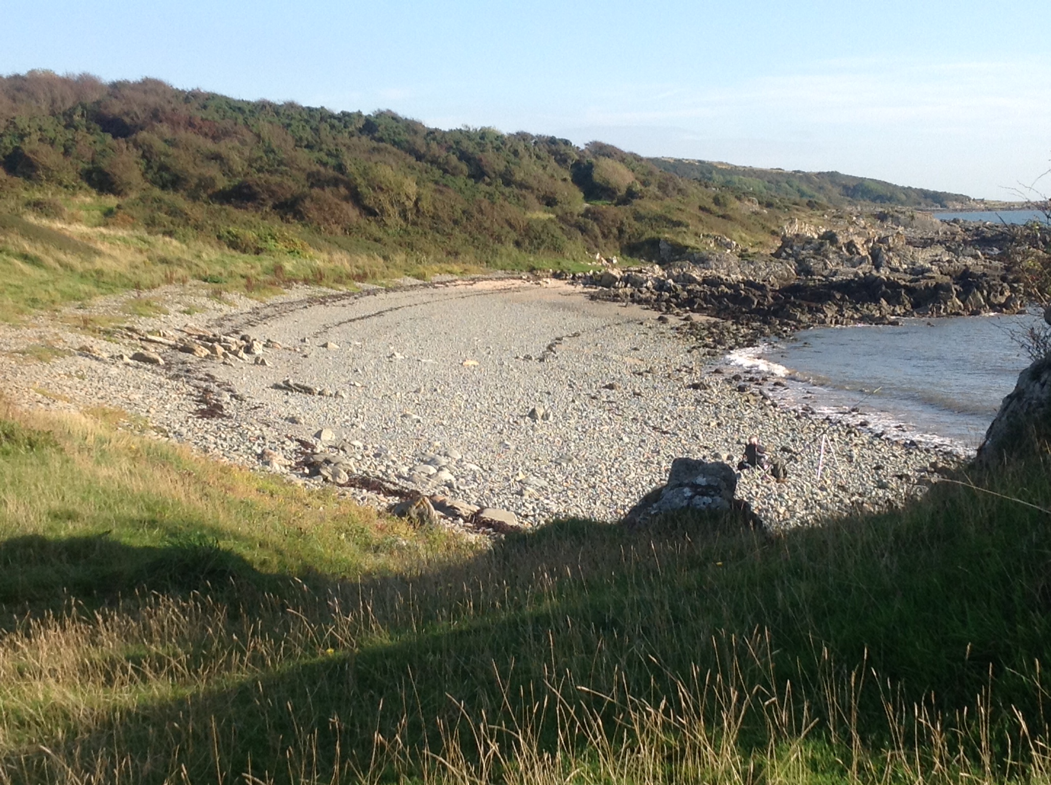 Thelma's Mooring Carrick Shore