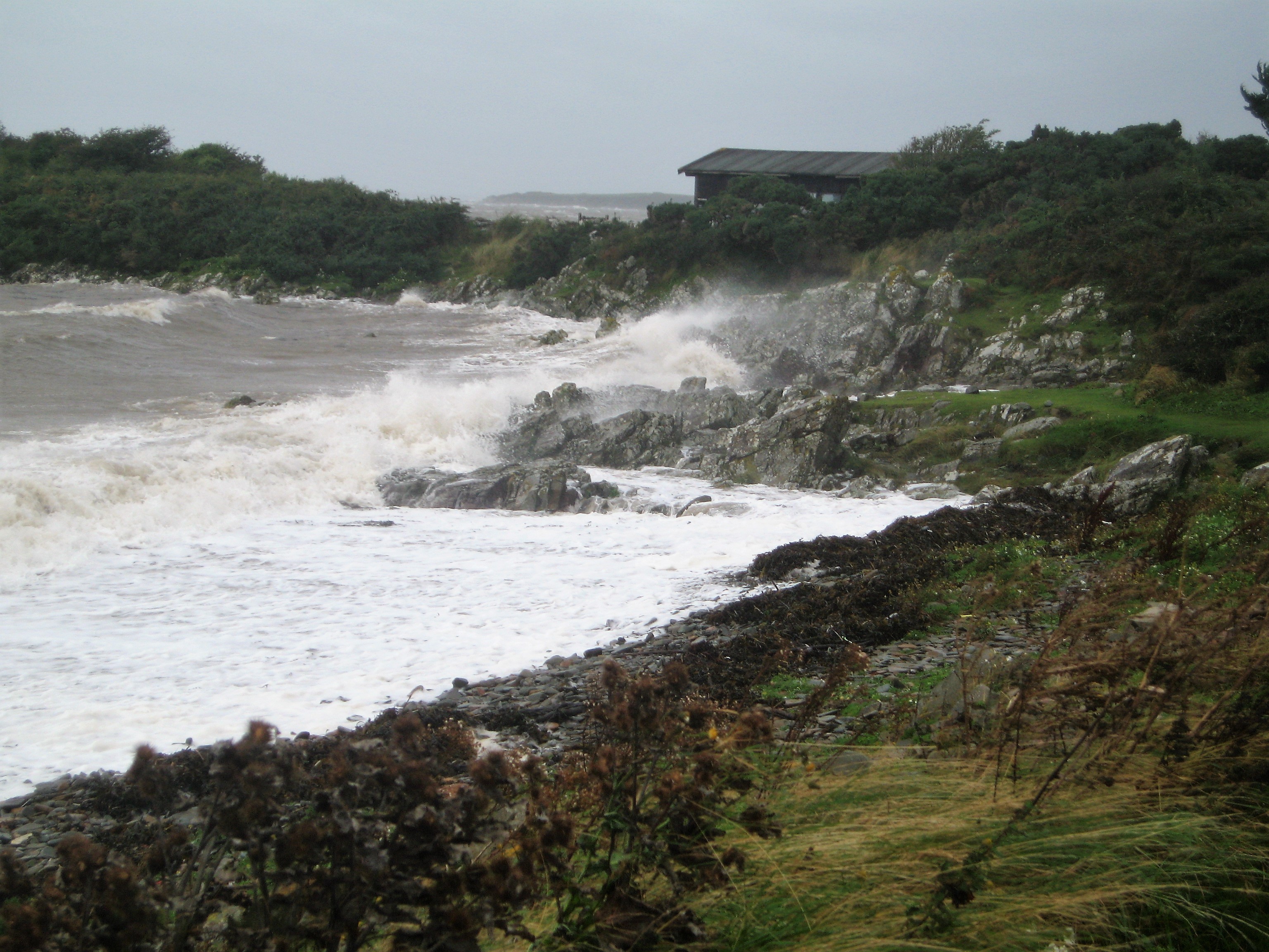 Thelma's Mooring Carrick Shore