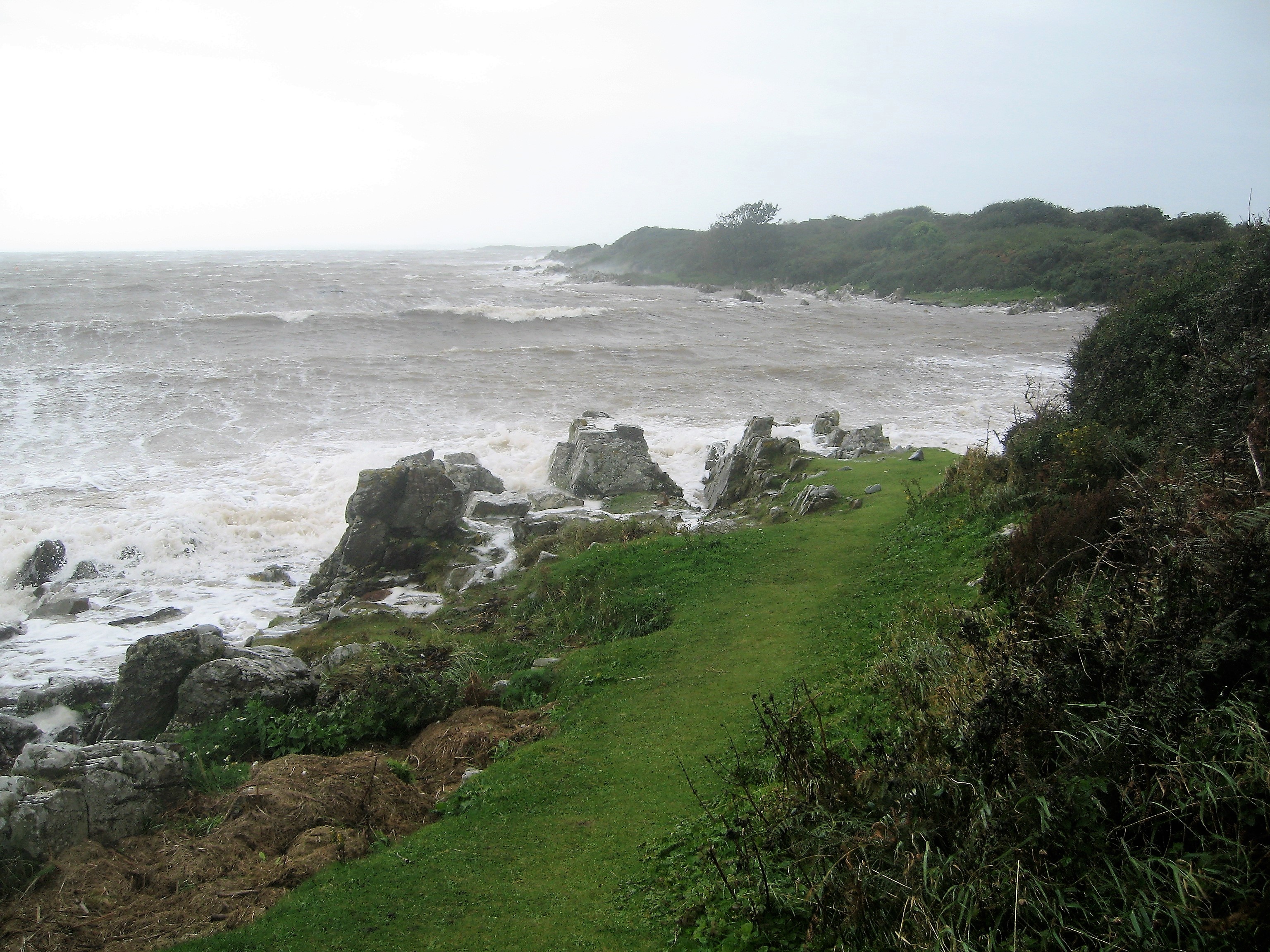 Thelma's Mooring Carrick Shore