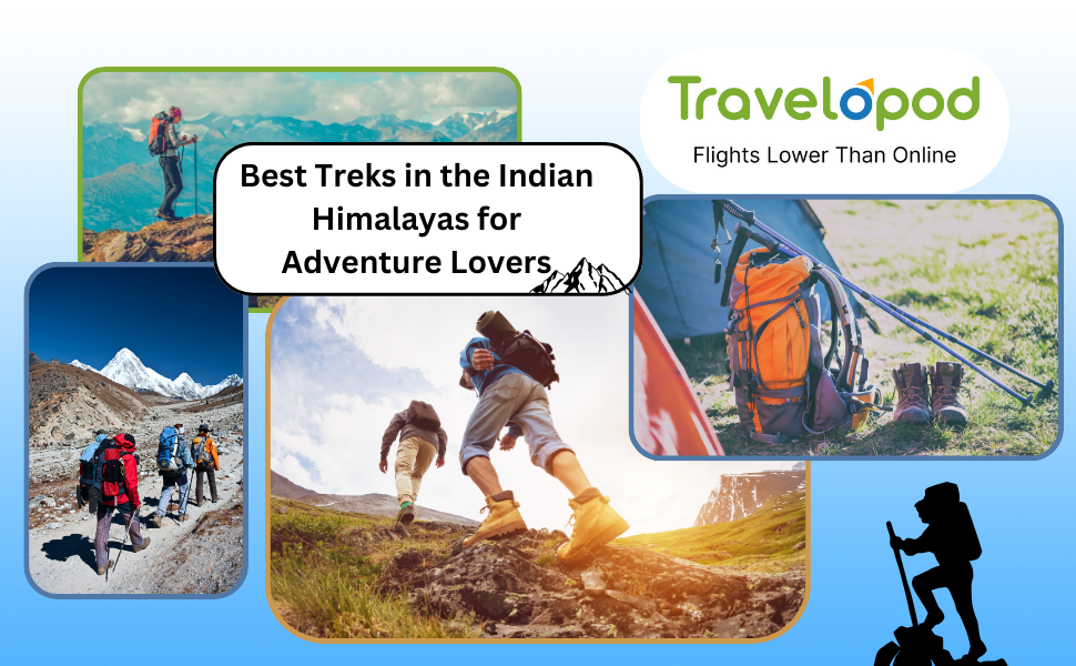 Trekking Destinations in India: Best Treks in the Indian Himalayas for ...