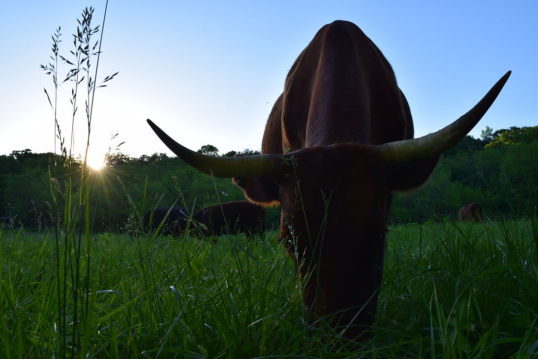 Local | B2bfarm | Winchester