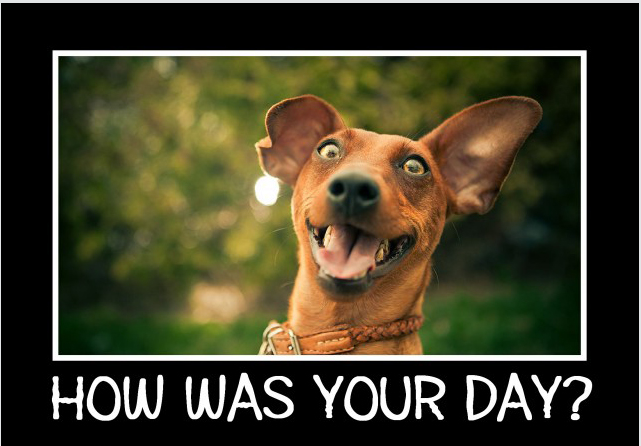 How was Your day?