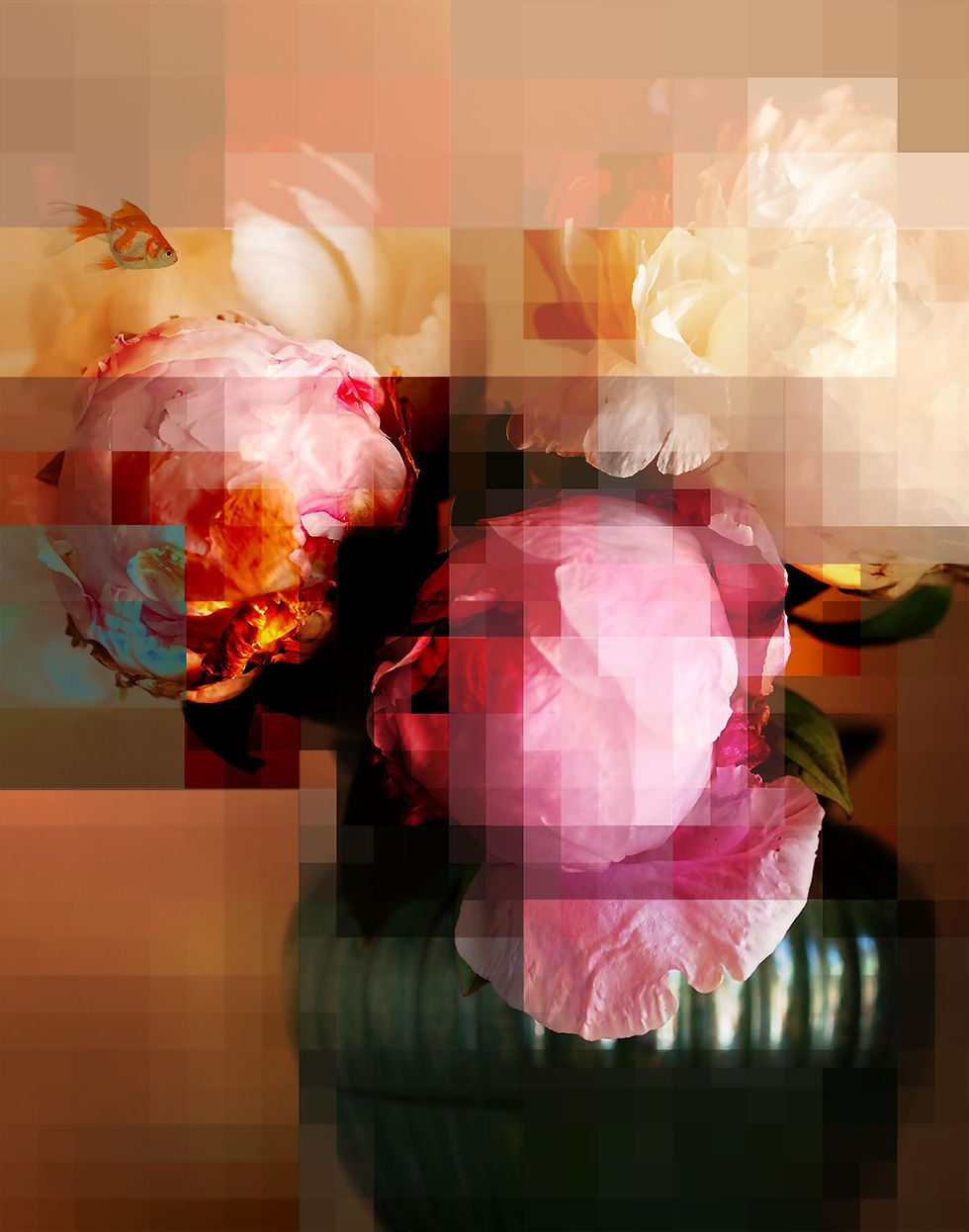 Peonies with X-ray pixel | FelixHuisken